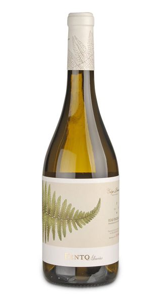 2024 FENTO ALBARIÑO, Fento Wines - Eulogio Pomares - Bairrada, Spanien ...